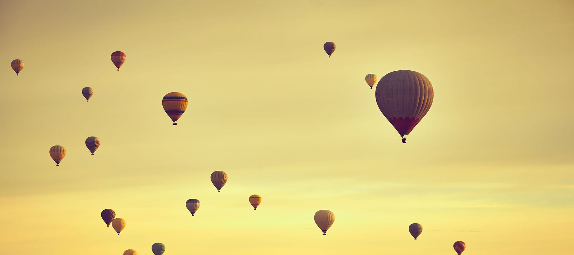 Bradley J. Foy - Bassett, Brosius, Foy & Associates - Wilmington, DE